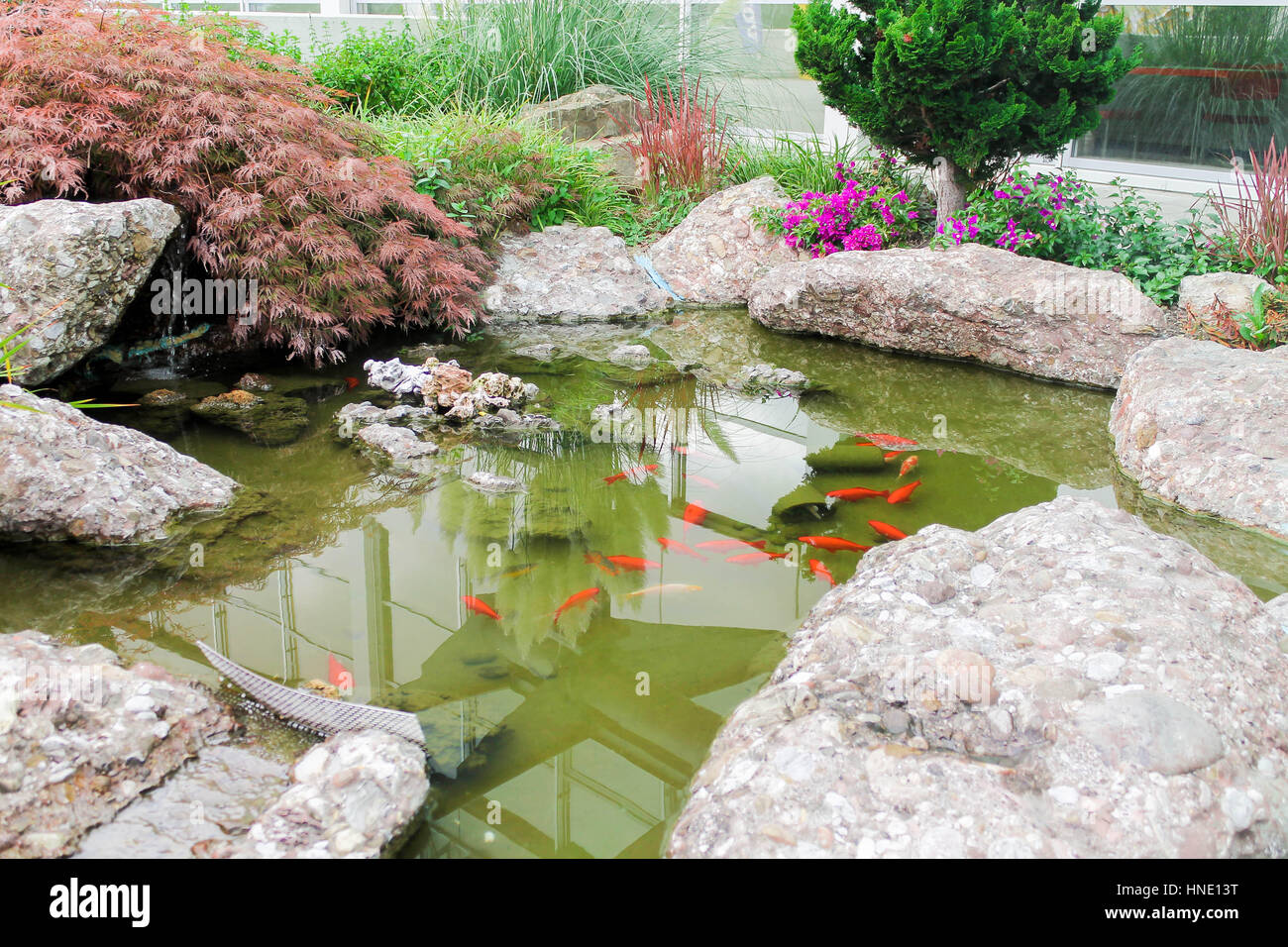 Swimming pool with red fish. Swimming pool with red fish. Swimming pool ...