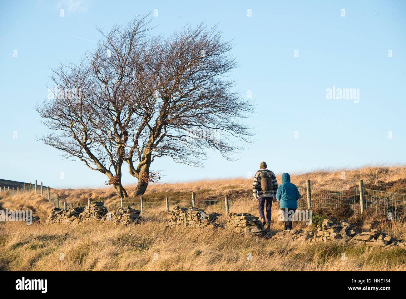 Two people walking through the English countryside Stock Photo - Alamy