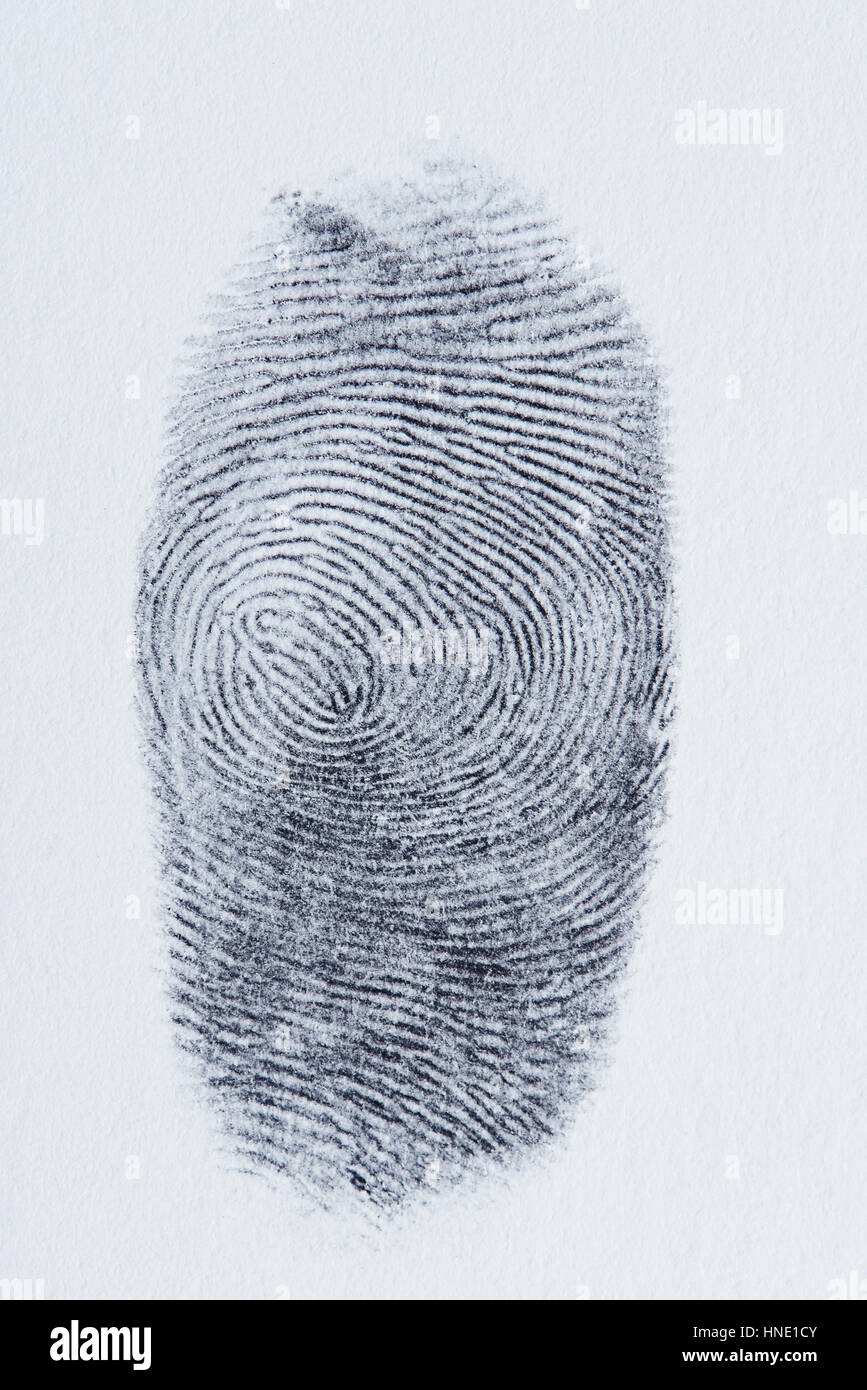 Human finger print evidence identity hi-res stock photography and ...