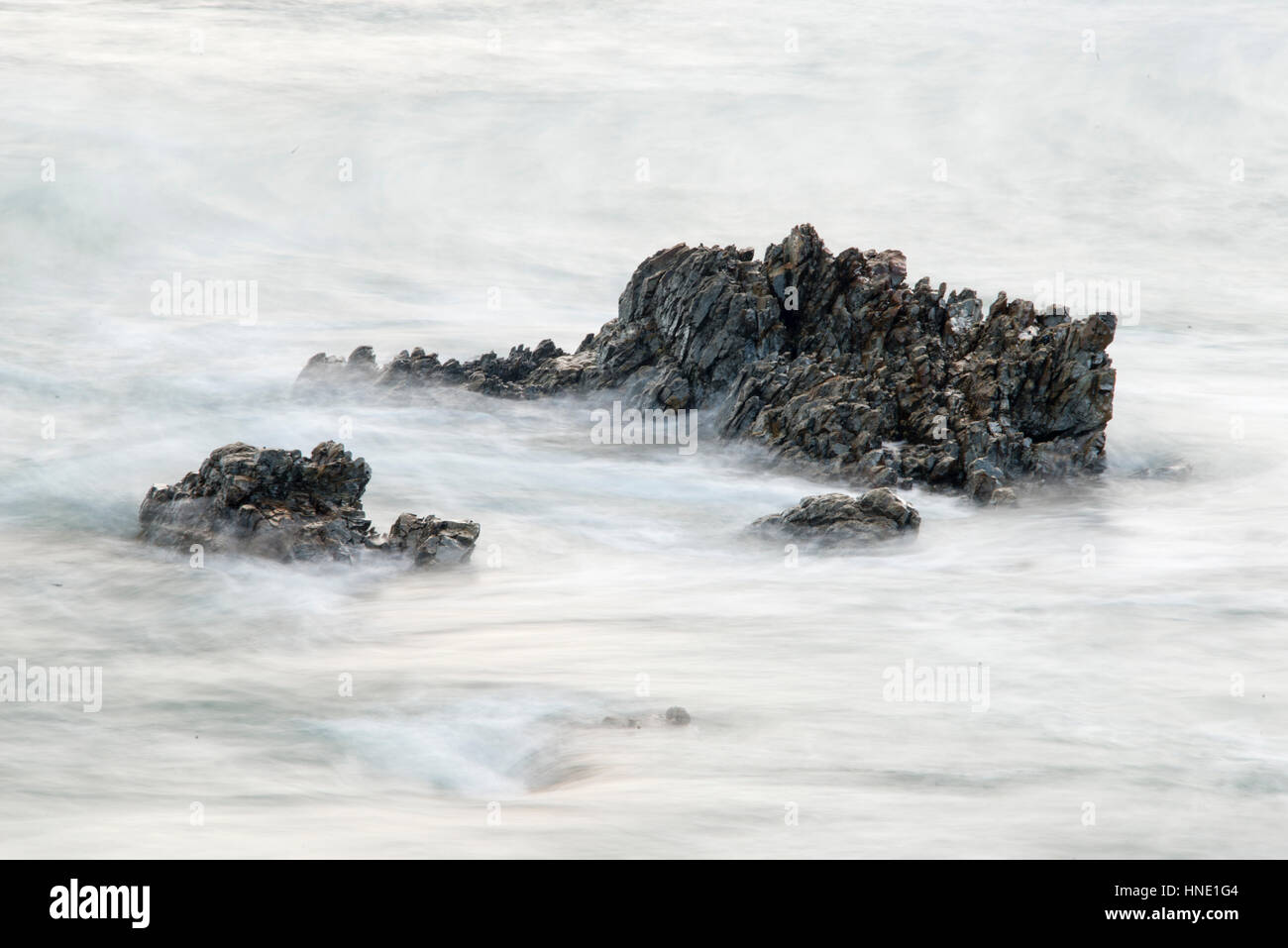 Redbubble hi-res stock photography and images - Alamy