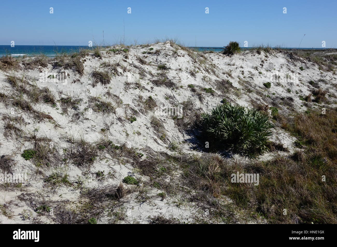 Large sand dune at Ponce Inlet, Florida Stock Photo - Alamy