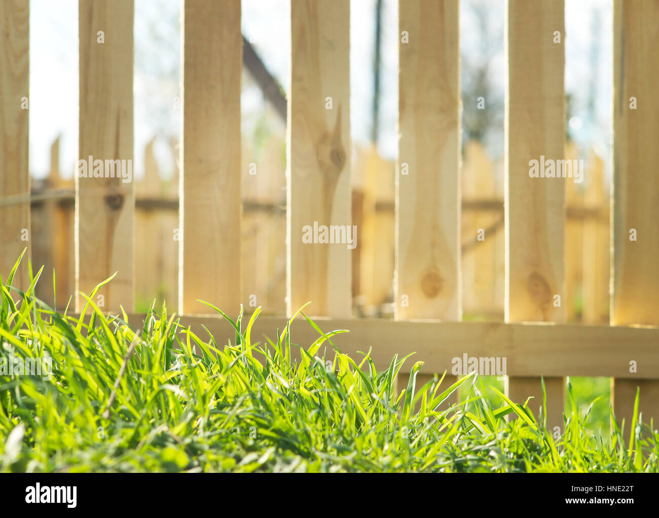Fresh spring green grass over wood fence background Stock Photo - Alamy