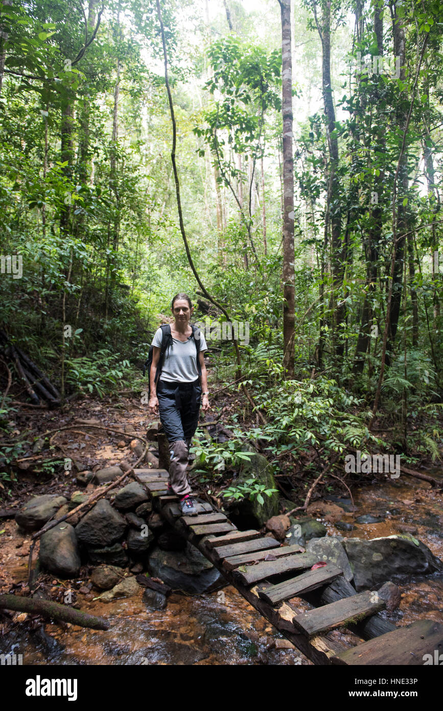 Hiking in the forest hi-res stock photography and images - Alamy