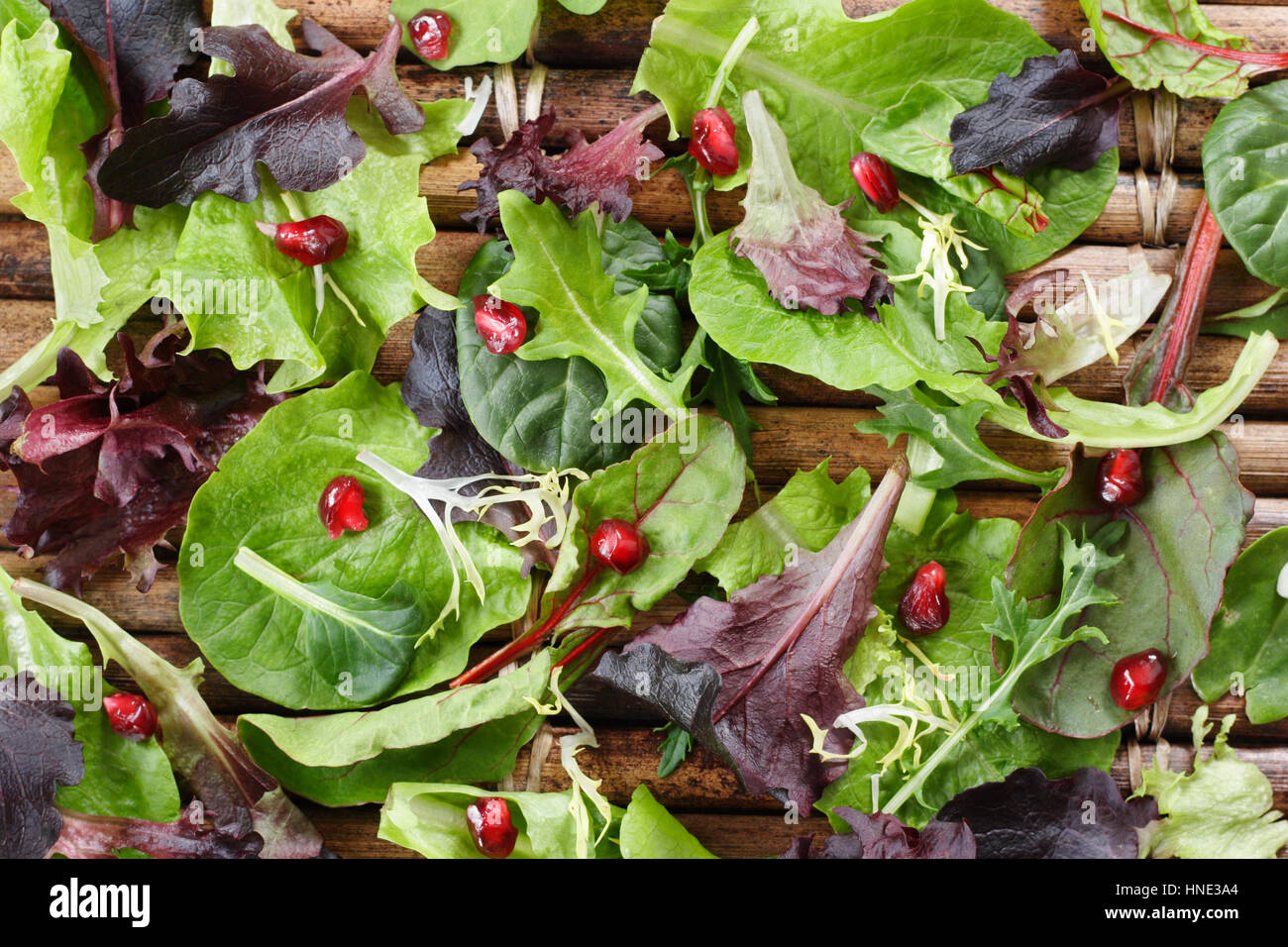 Baby radicchio leaf hi-res stock photography and images - Alamy