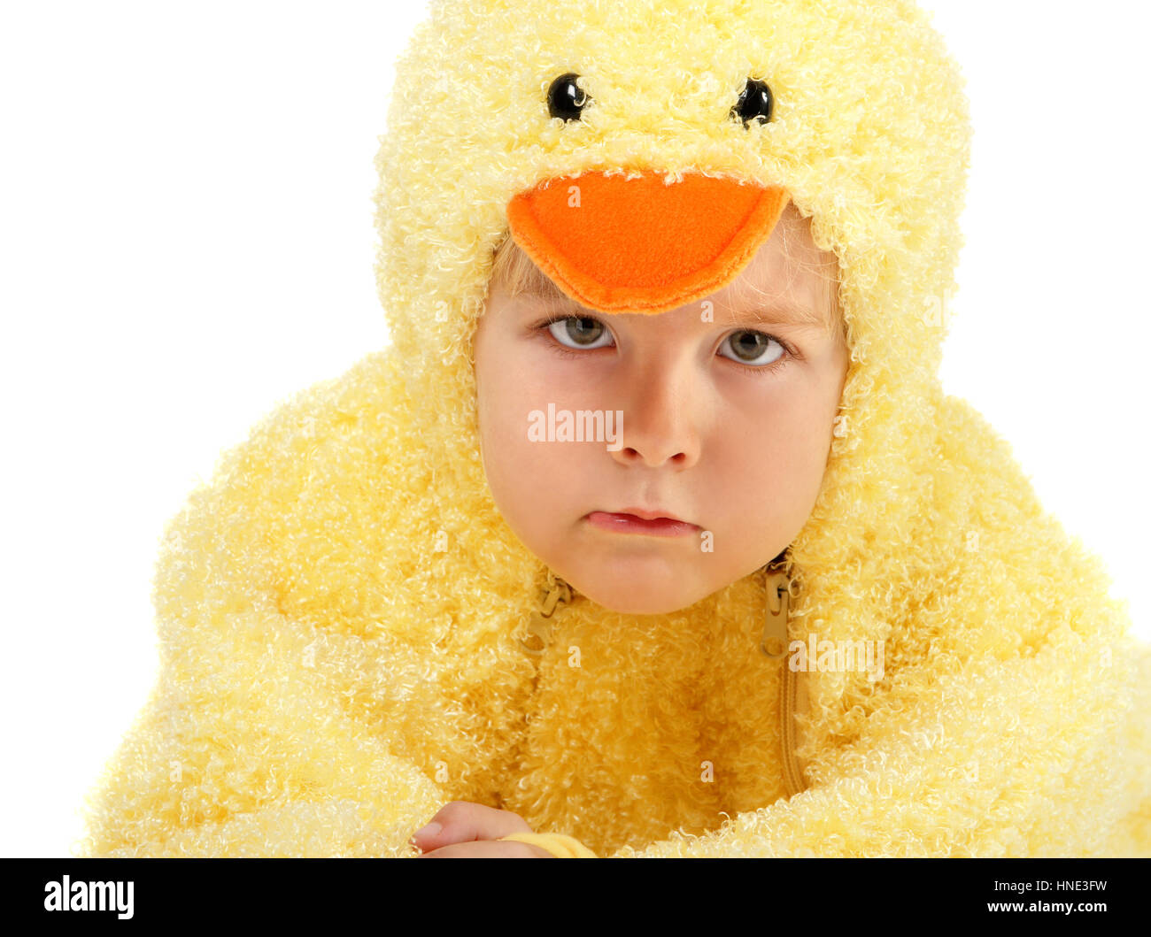 Chicken acting hi-res stock photography and images - Alamy
