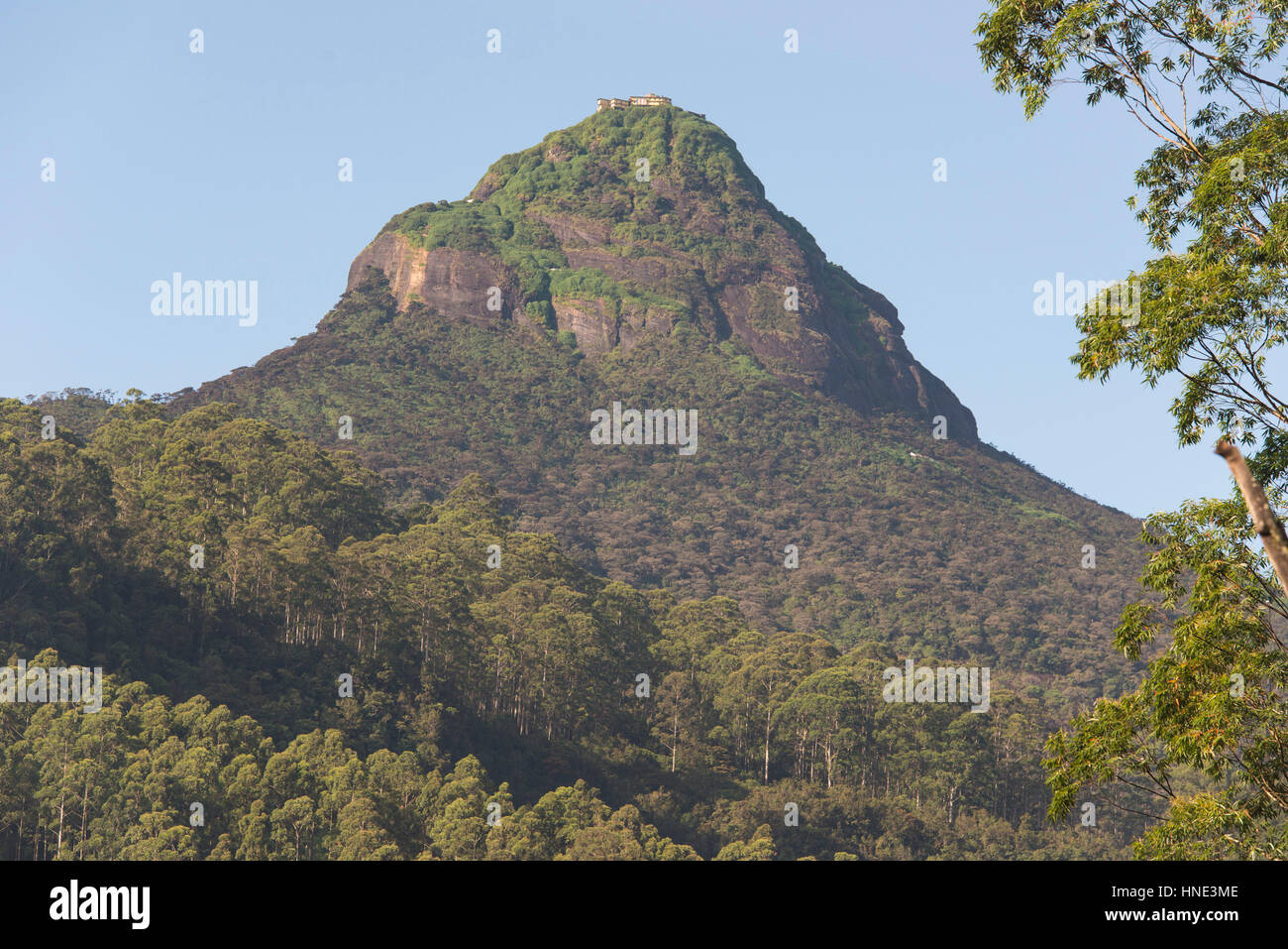 Adam's Peak, Sri Lanka Stock Photo - Alamy