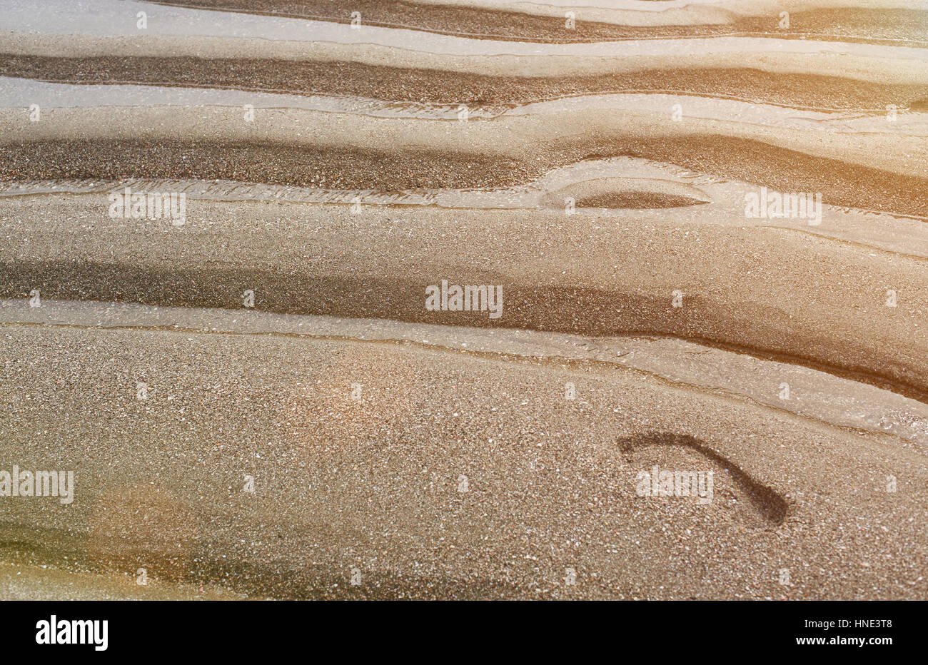 Human foot step on sand of sea beach in sun light Stock Photo - Alamy