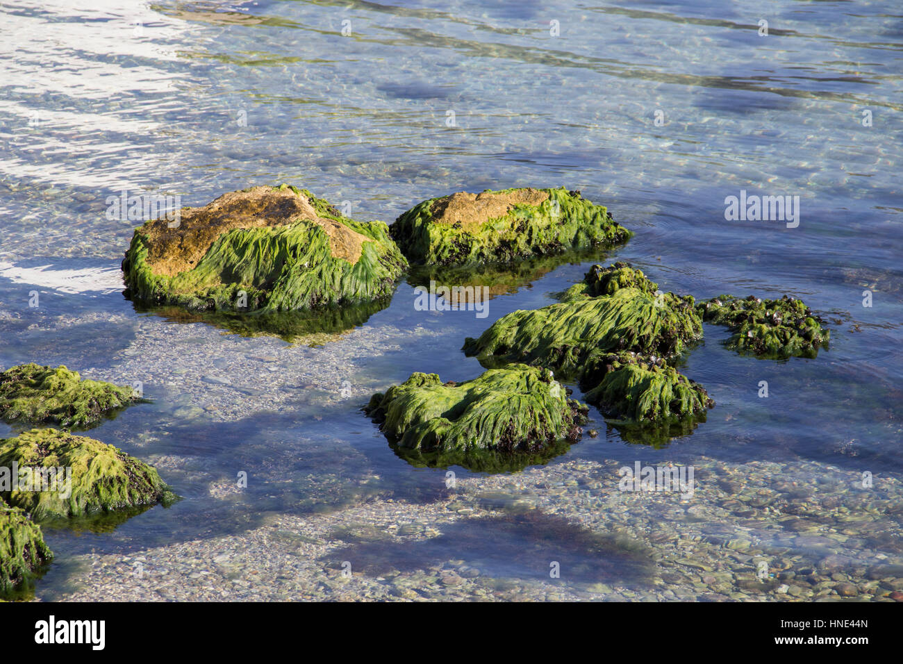Rocks surface hi-res stock photography and images - Alamy
