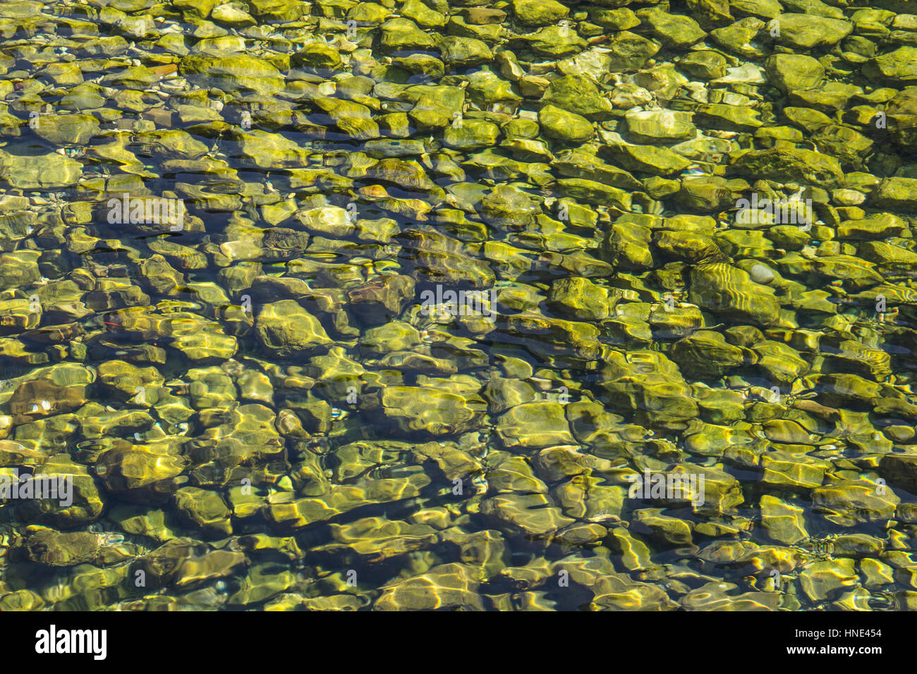 stones under water Stock Photo - Alamy