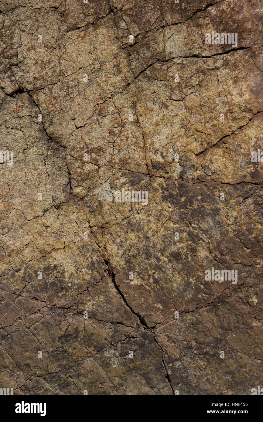 Vertical background rough stone texture hi-res stock photography and ...
