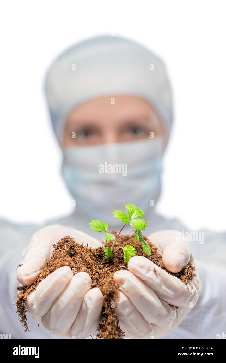biologist shows the soil and a small sprout closeup Stock Photo - Alamy