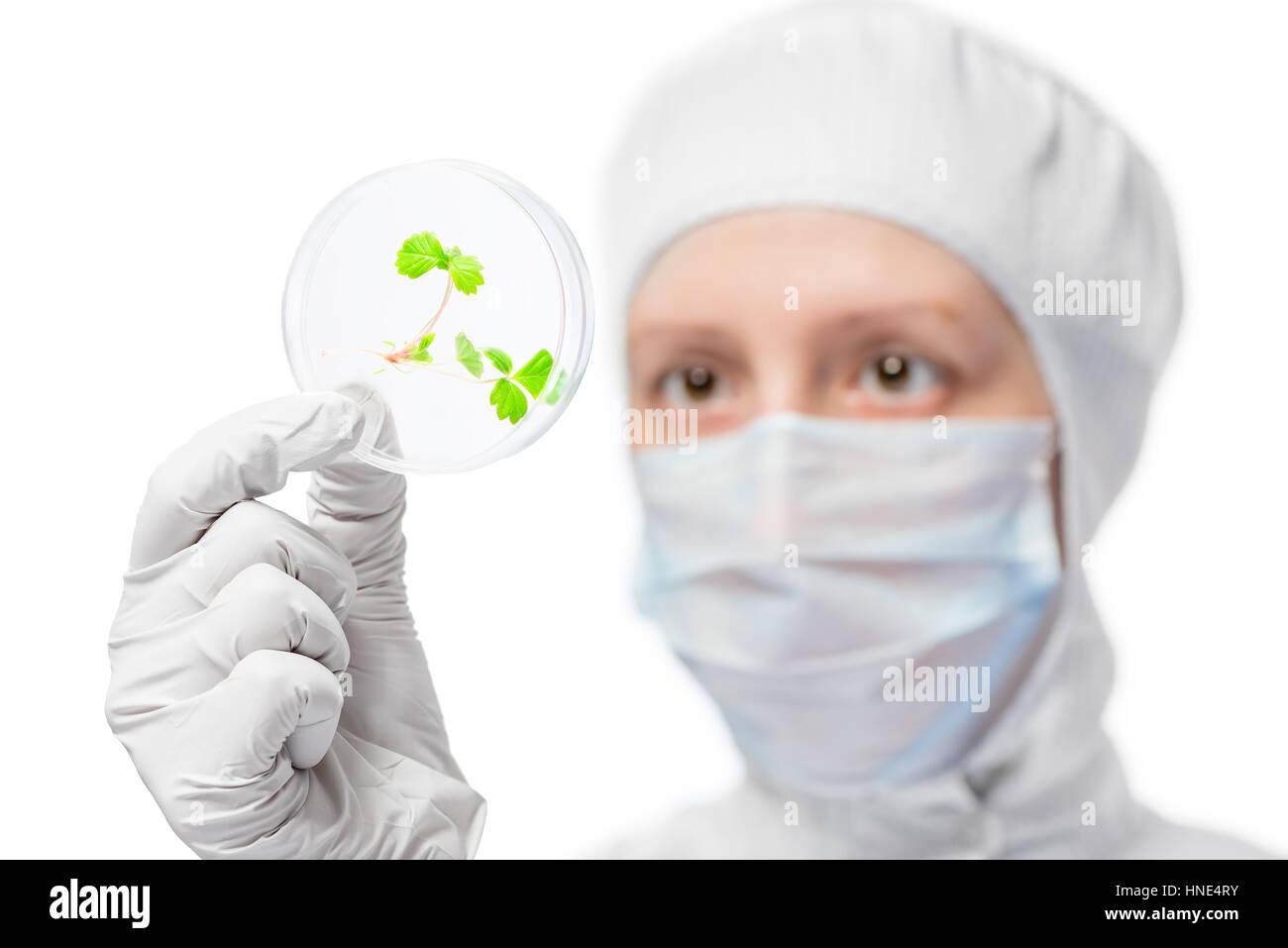 Portrait ecologist test tube hi-res stock photography and images - Alamy