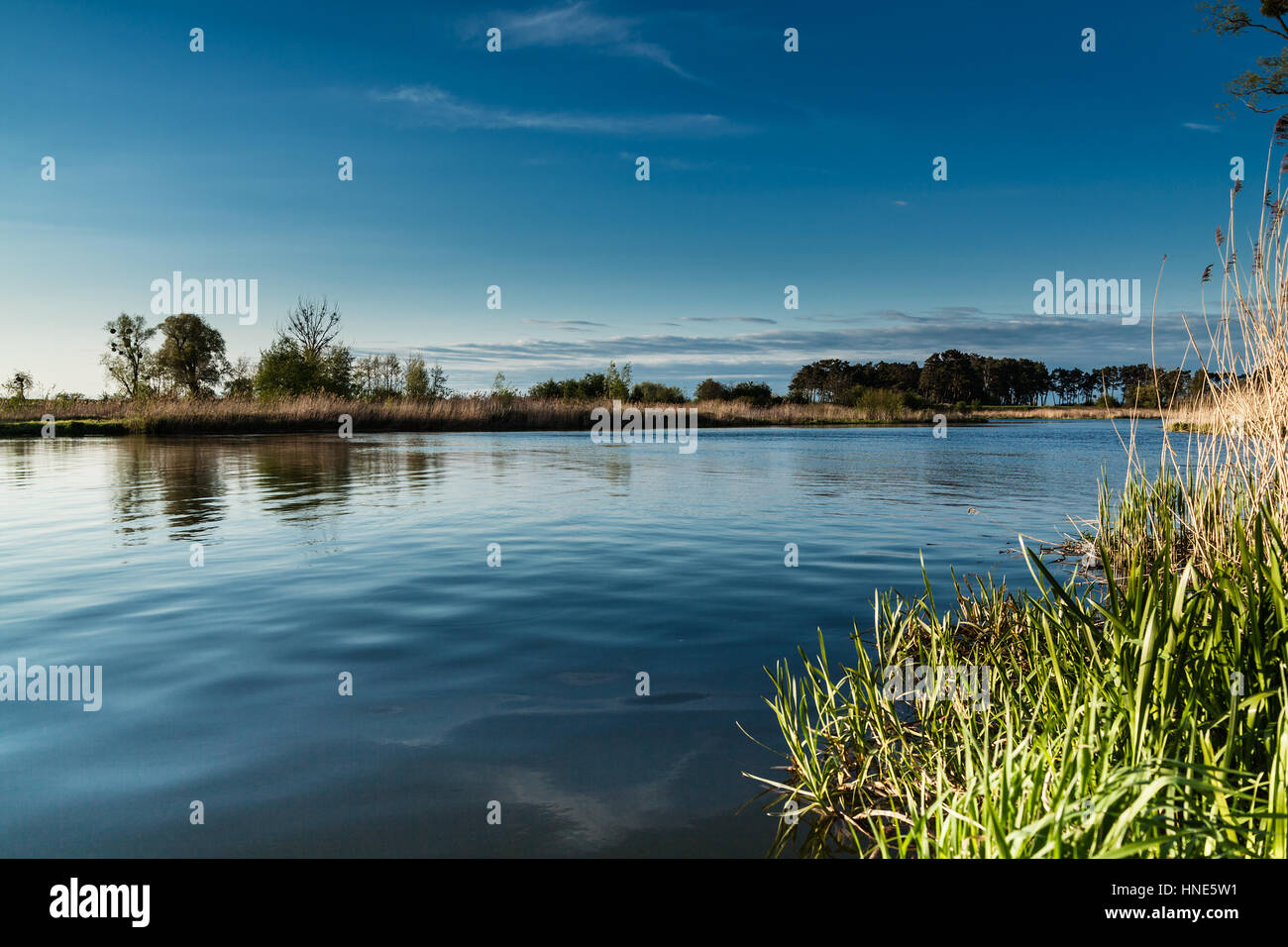 Landscape on the river Nogat, spring, Poland Stock Photo - Alamy