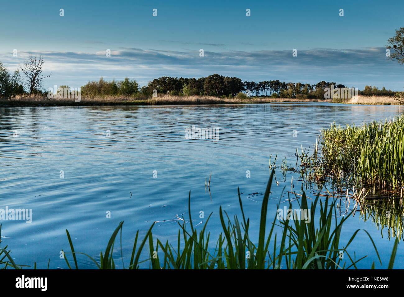 Landscape on the river Nogat, spring, Poland Stock Photo - Alamy