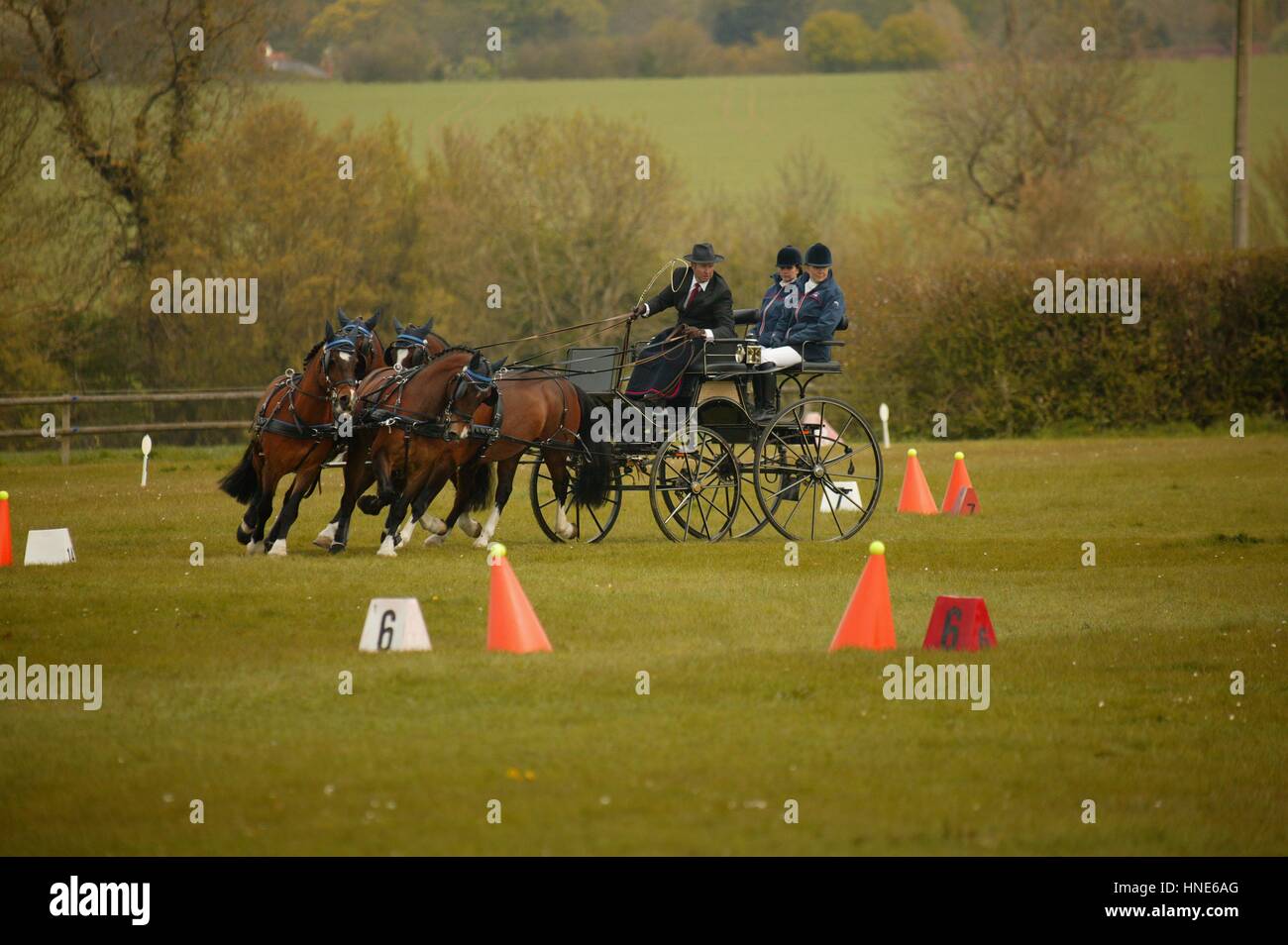 Tandem carriage hi-res stock photography and images - Alamy