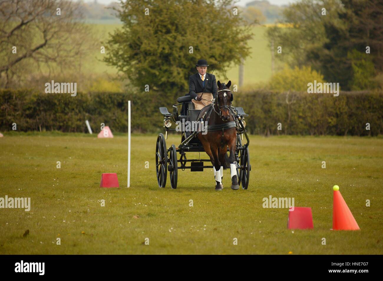 Ashfields Polo and Carriage Driving Club Stock Photo - Alamy