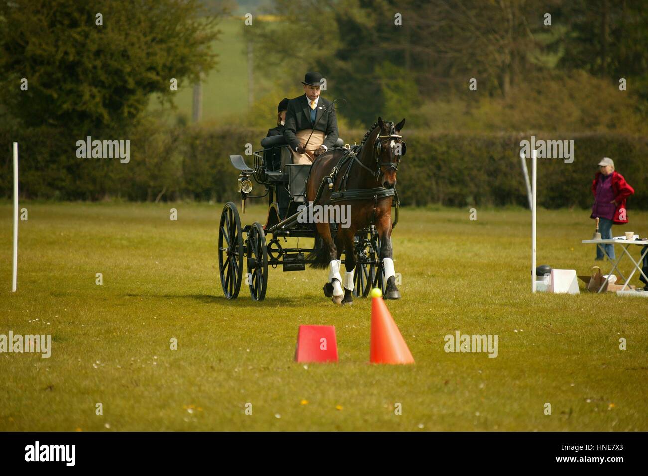 Tandem horse team hi-res stock photography and images - Alamy