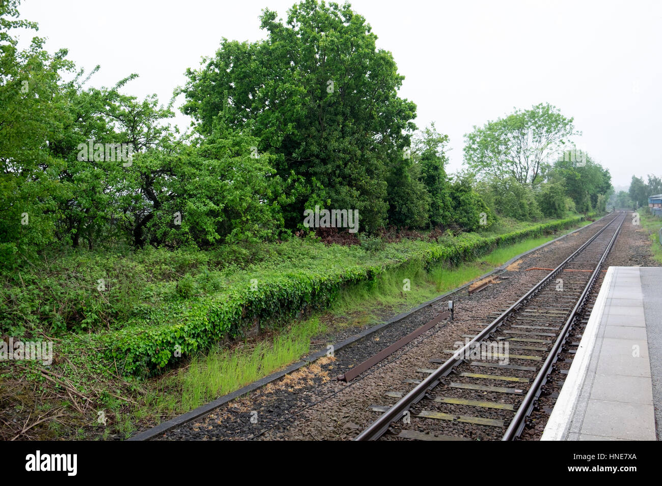 Overgrown Railway Track High Resolution Stock Photography and Images - Alamy