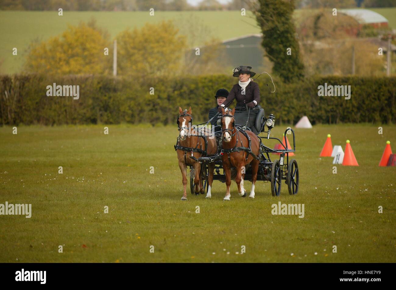 Ashfields Polo and Carriage Driving Club Stock Photo - Alamy