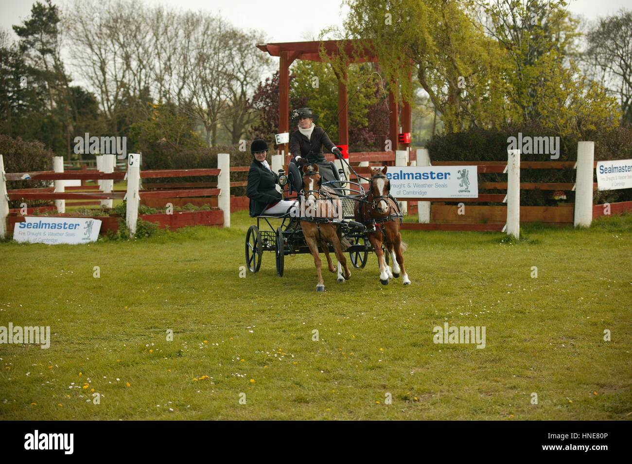 Ashfields Polo and Carriage Driving Club Stock Photo - Alamy