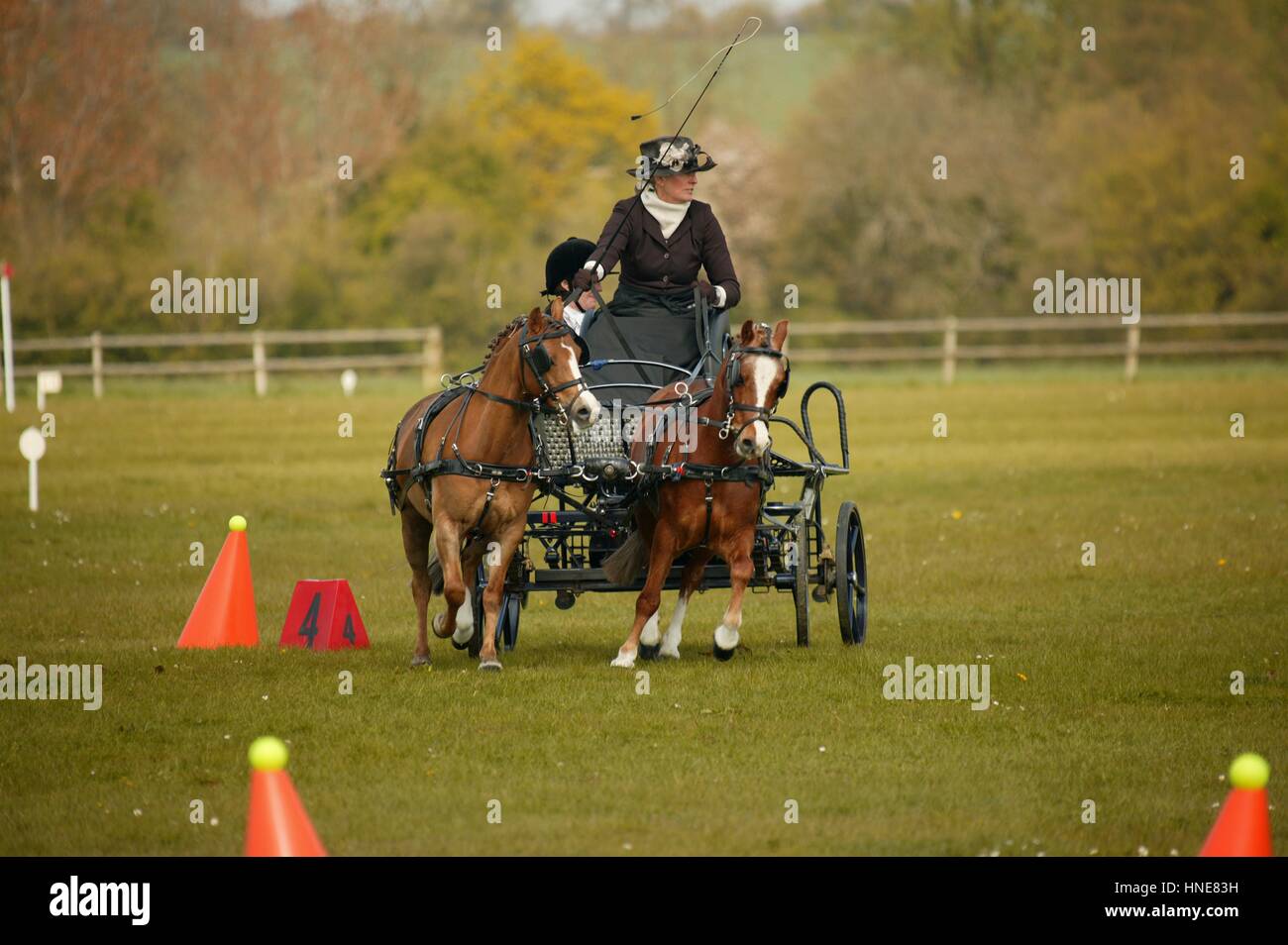 Ashfields Polo and Carriage Driving Club Stock Photo - Alamy