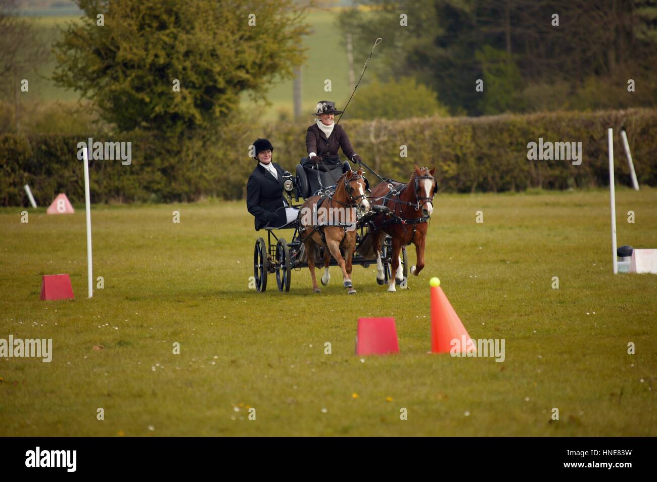 Ashfields Polo and Carriage Driving Club Stock Photo - Alamy