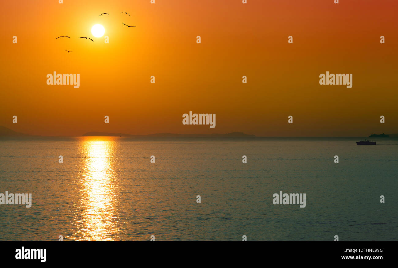 Amazing sun over tropical hi-res stock photography and images - Alamy
