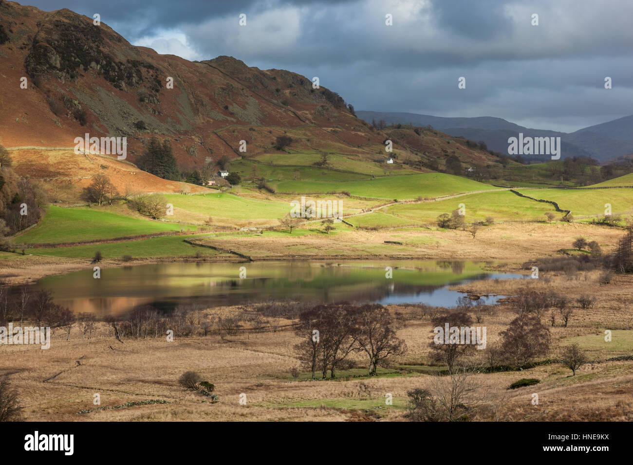 Little Langdale Tarn, Little Langdale, Lake District, Cumbria Stock ...