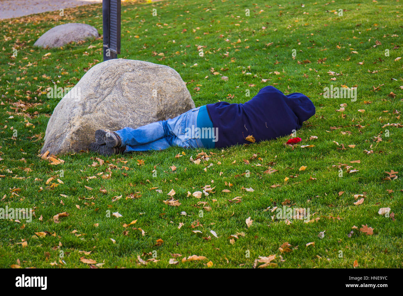 Sleeping Man In Local Park Stock Photo - Alamy