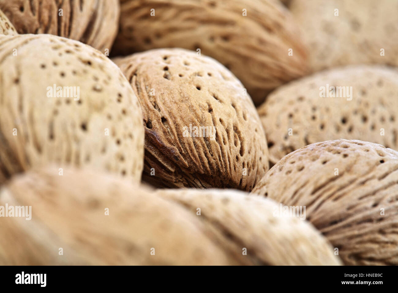 Almond in shell on white background Stock Photo - Alamy