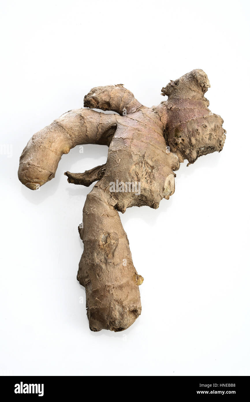 Chinese ginger plant Cut Out Stock Images & Pictures - Alamy