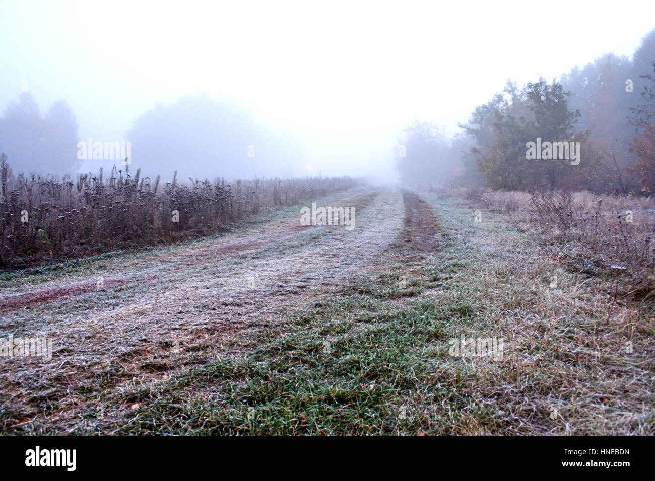 View of road on meadow Stock Photo - Alamy