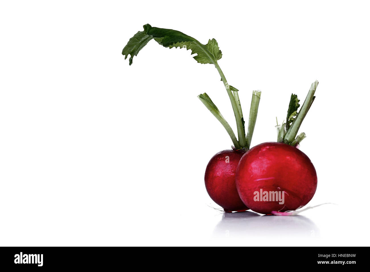 Radish background close up Cut Out Stock Images & Pictures - Alamy