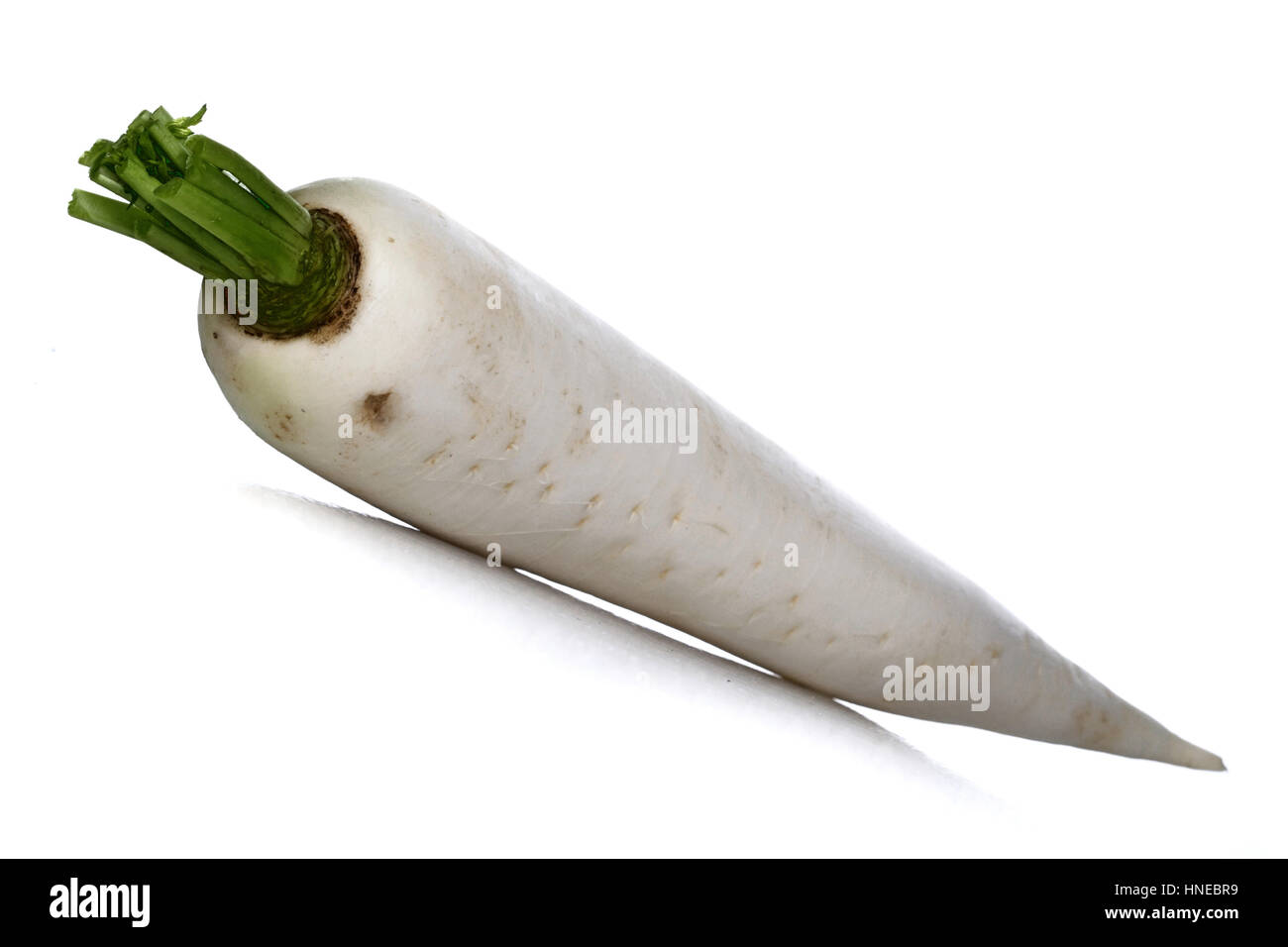White raddish on white background Stock Photo - Alamy
