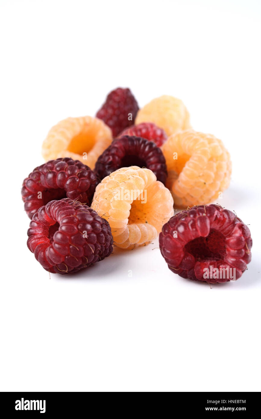 Closeup macro shot yellow Cut Out Stock Images & Pictures - Alamy