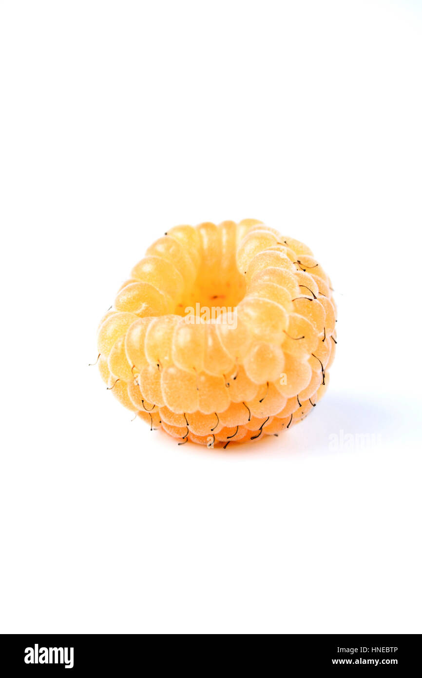 White raspberries - studio shot Stock Photo - Alamy