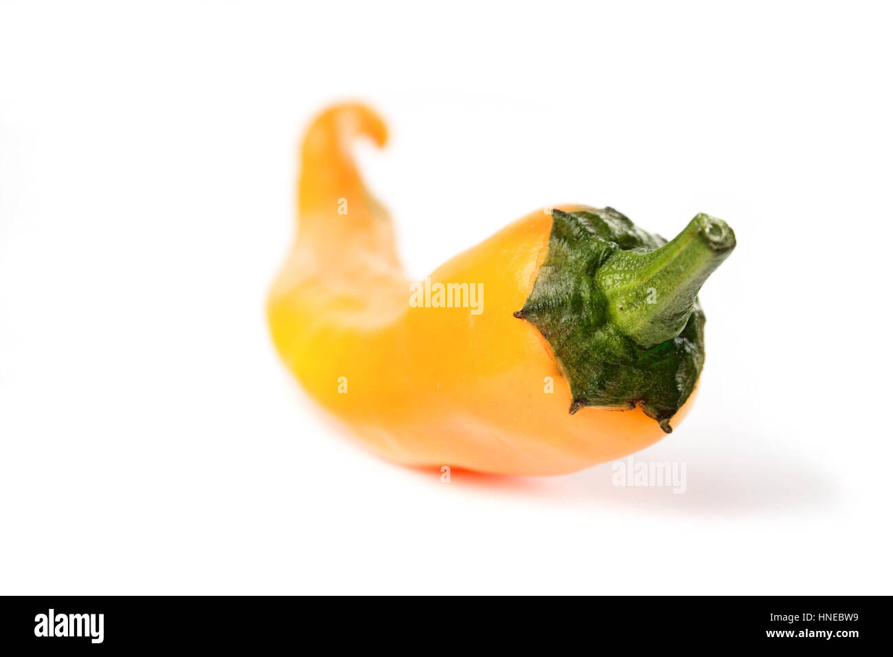 Close-up of yellow chilli pepper Stock Photo - Alamy