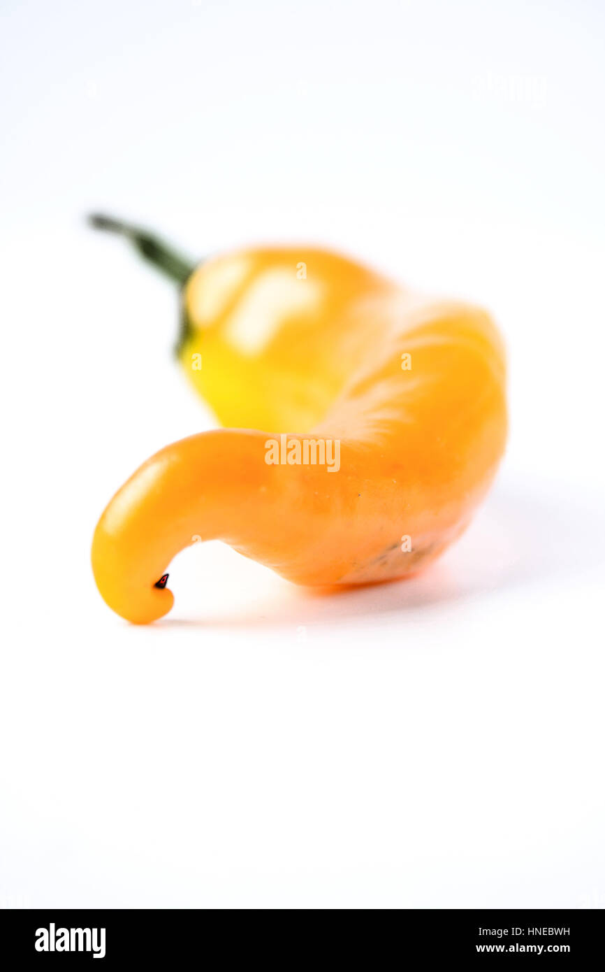Studio shot of chilli peppers Stock Photo - Alamy