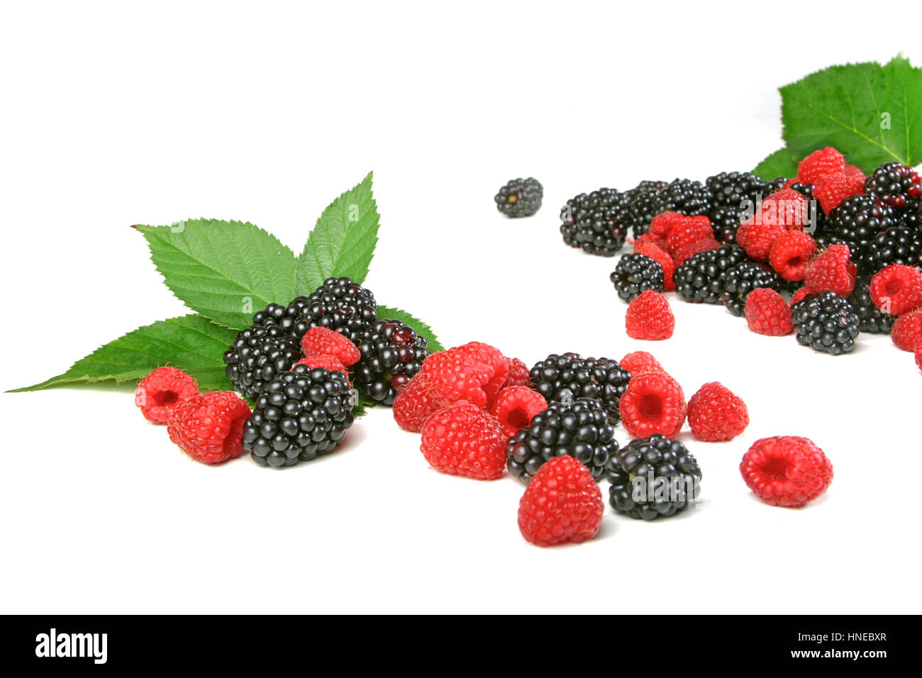 Berries on white backround - studio shot Stock Photo - Alamy