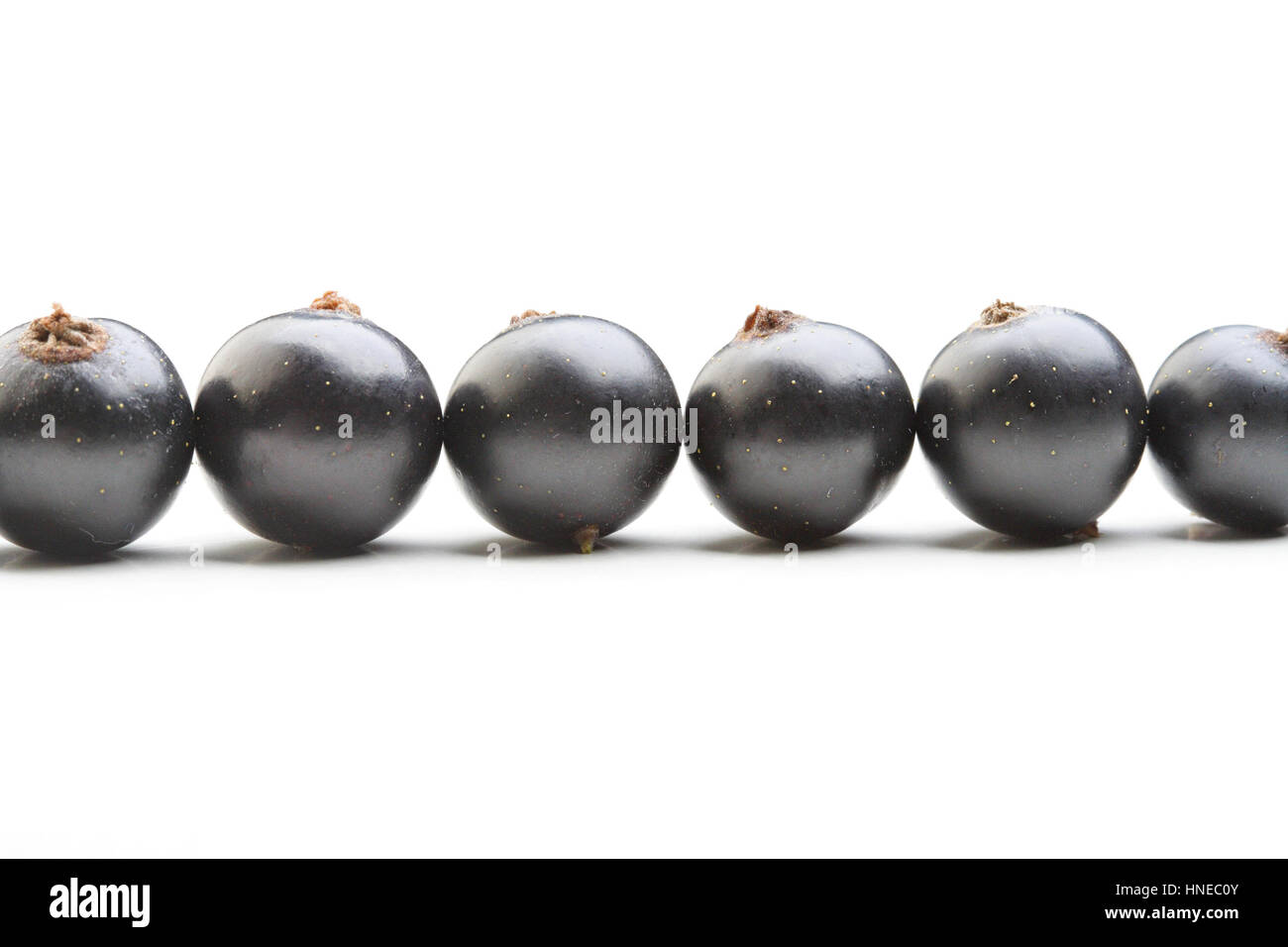 Close up ripe blackcurrant hi-res stock photography and images - Alamy