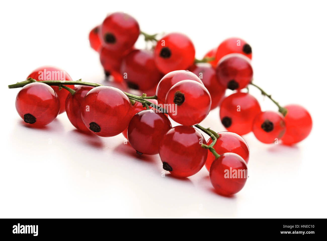 cluster red currants close isolated over white Stock Photo - Alamy