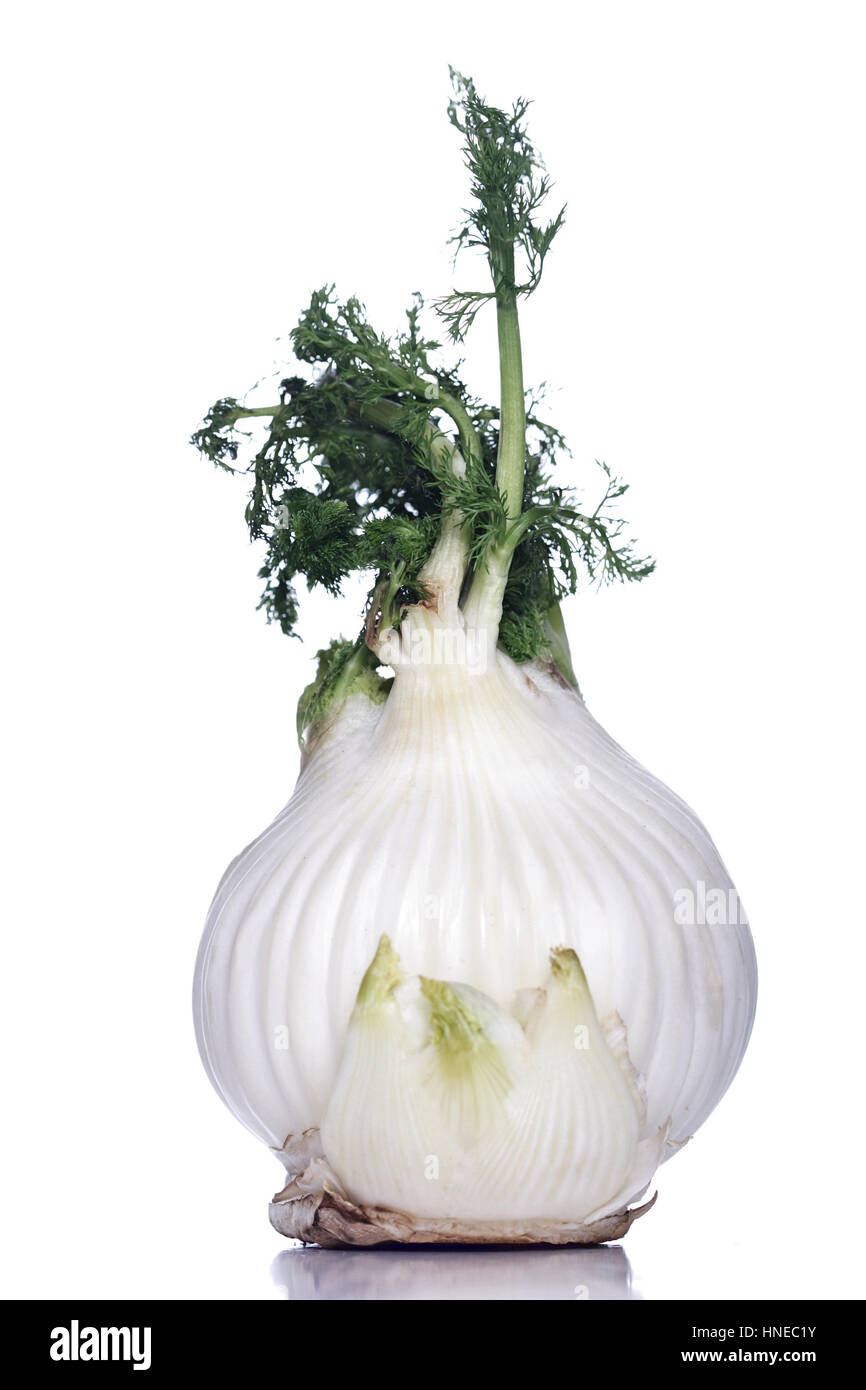 Studio shot of fennel root Stock Photo - Alamy