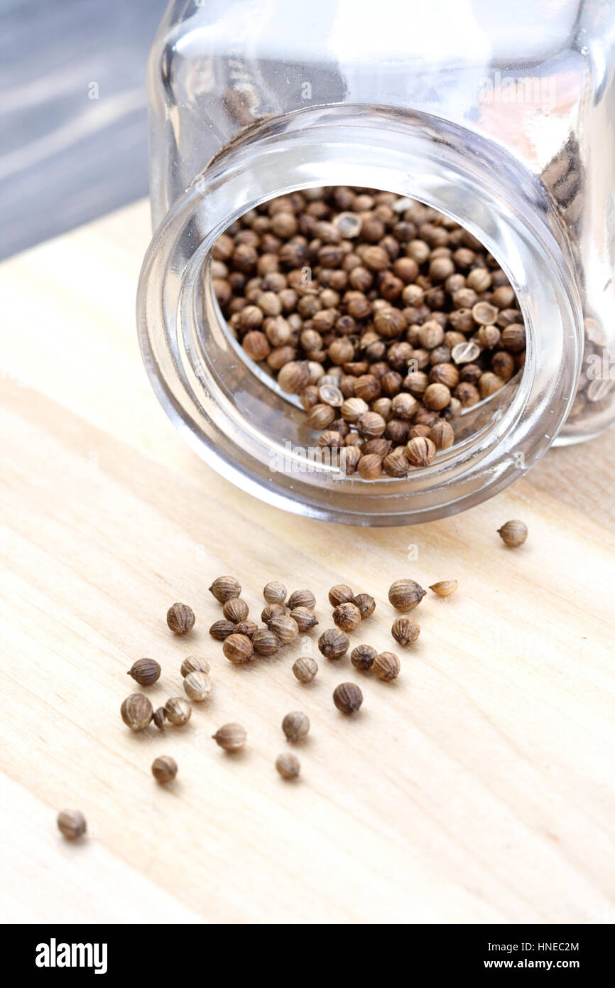 Cumin mustard seeds hi-res stock photography and images - Alamy