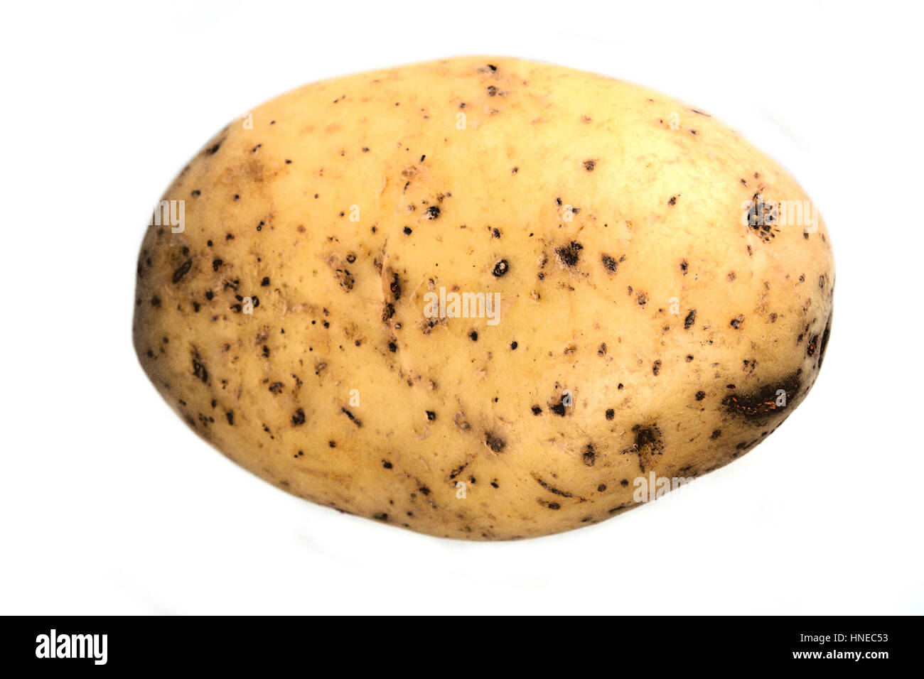 Close up of potato on white background Stock Photo - Alamy