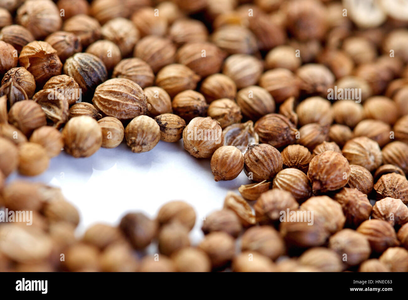 Close up of dried mustard seeds Stock Photo - Alamy