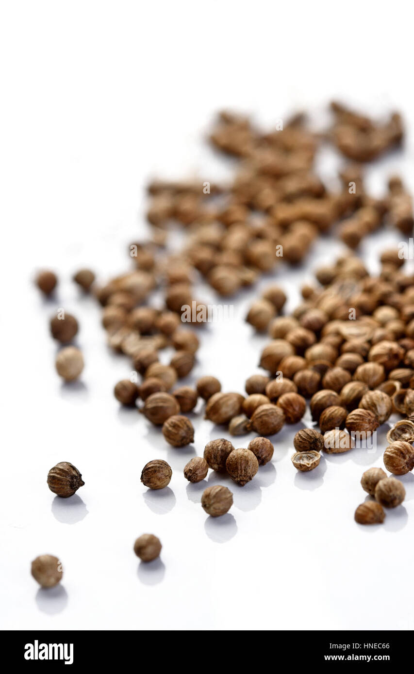 Close up dried mustard seeds hi-res stock photography and images - Alamy