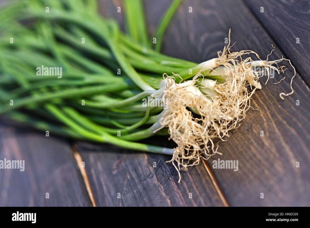 Chive leaves hi-res stock photography and images - Alamy