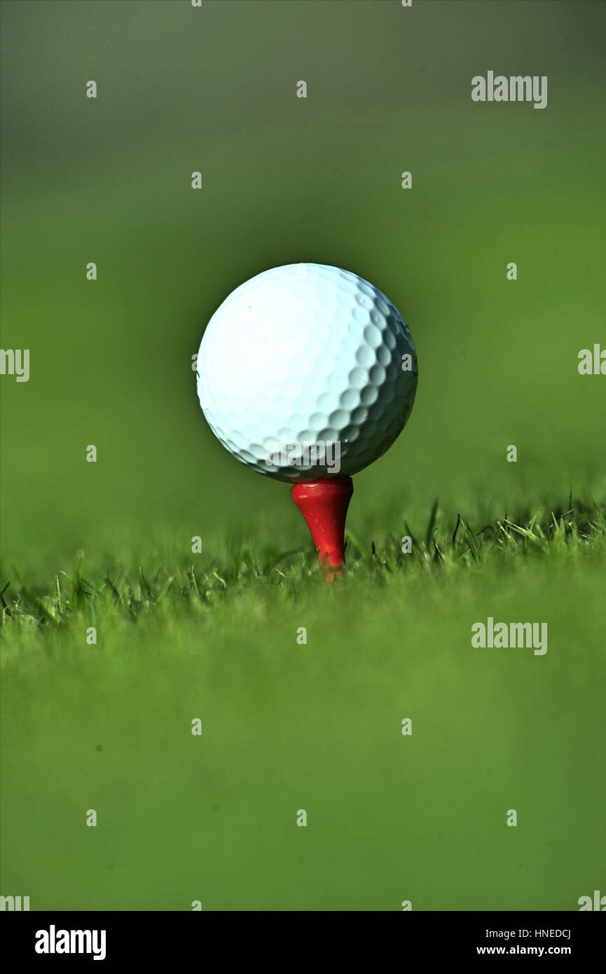 Golf ball on tee Stock Photo - Alamy