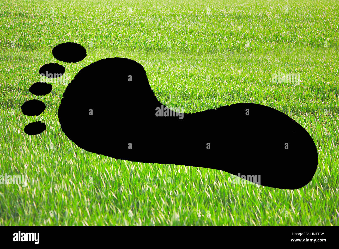 Feet and landscape hi-res stock photography and images - Alamy
