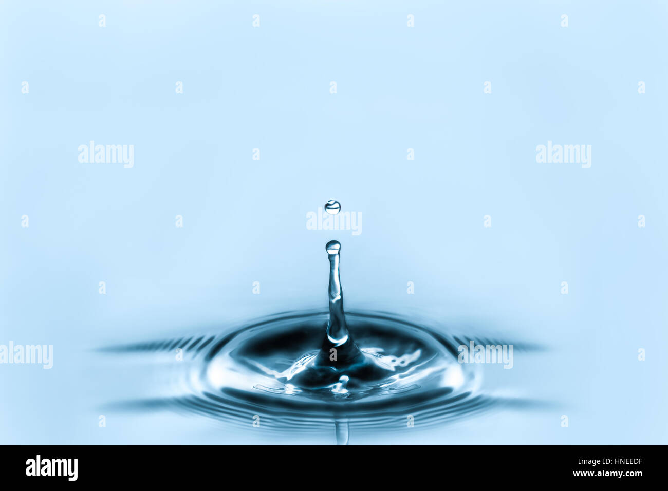 macro of water drop.water drop splash.water drop falling.dew drop.water ...
